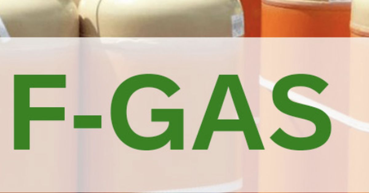 F‑GAS, Les raisons d'un désaccord